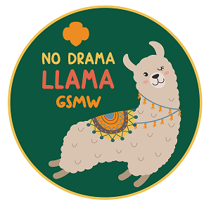 Troop Meeting | Planning Tools | Girl Scouts of Montana and Wyoming